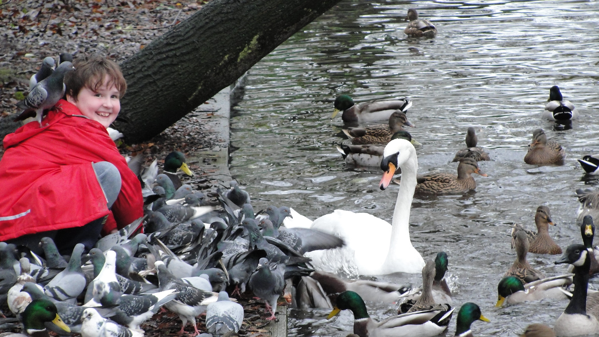 Weather Week ~ Exploring Nature With Children