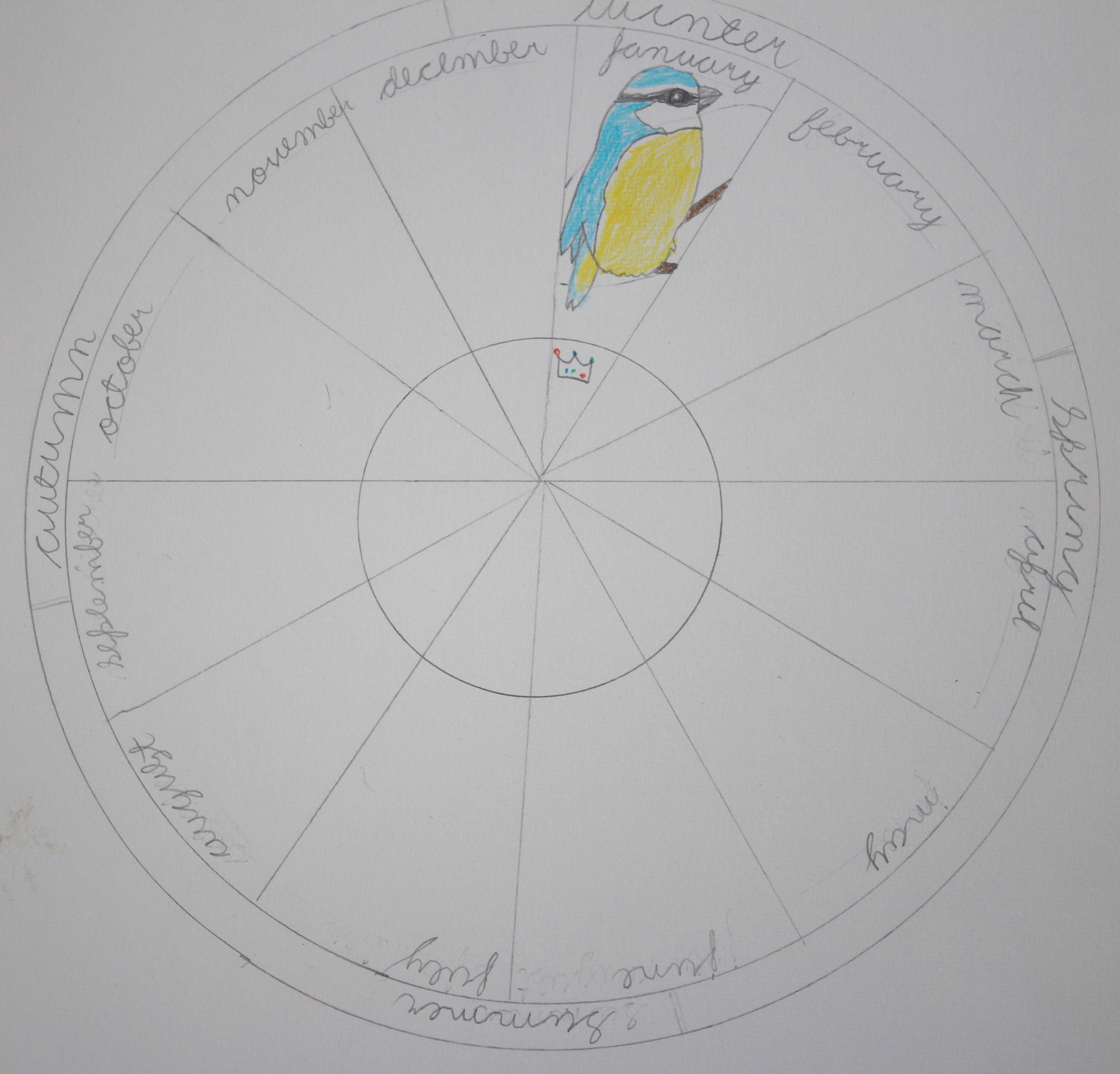 Our Phenology Wheels