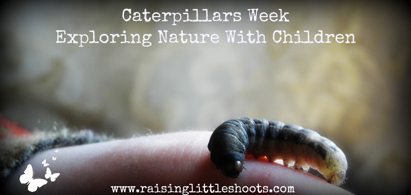 Caterpillar Week : Exploring Nature With Children