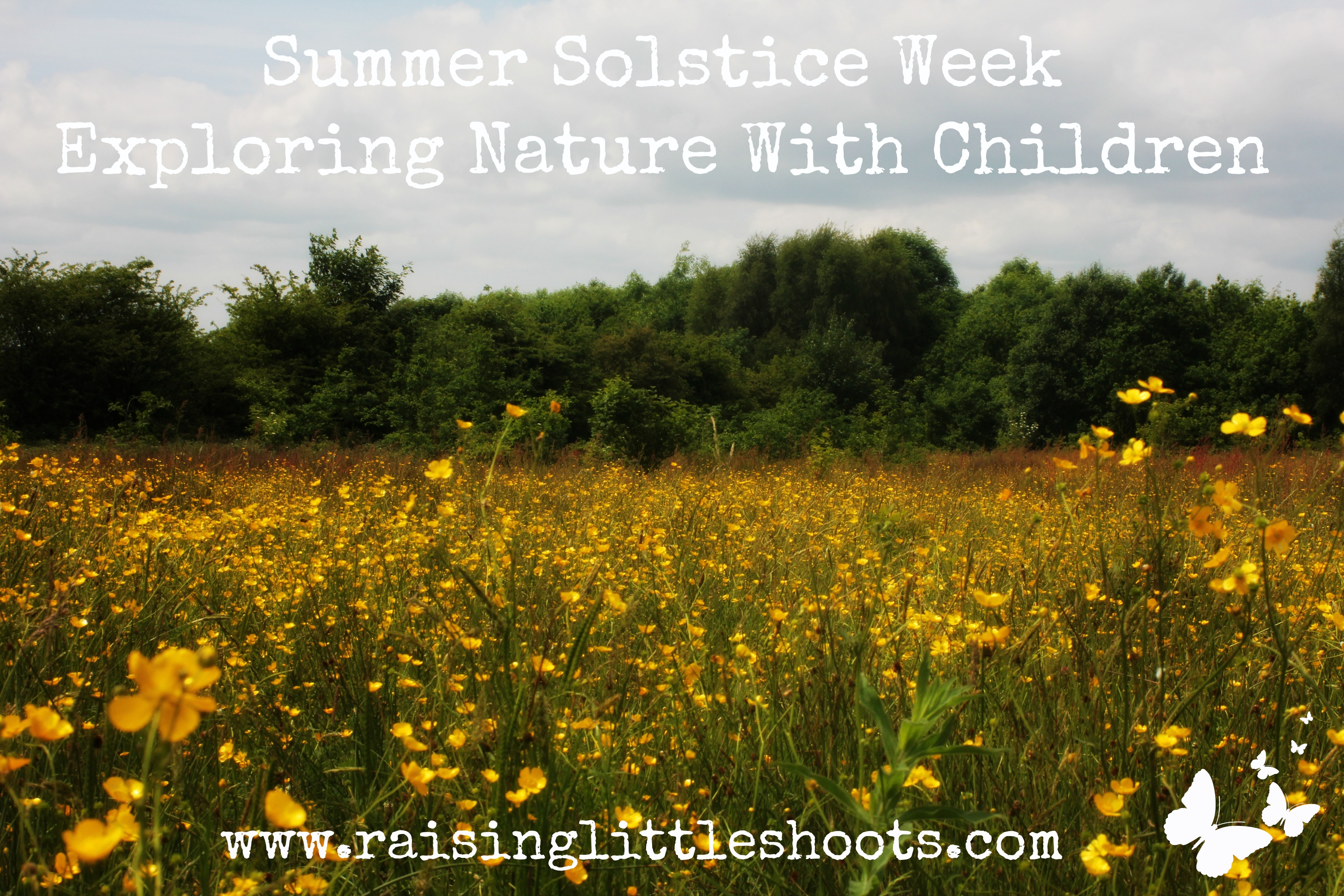 Summer Solstice Week : Exploring Nature With Children
