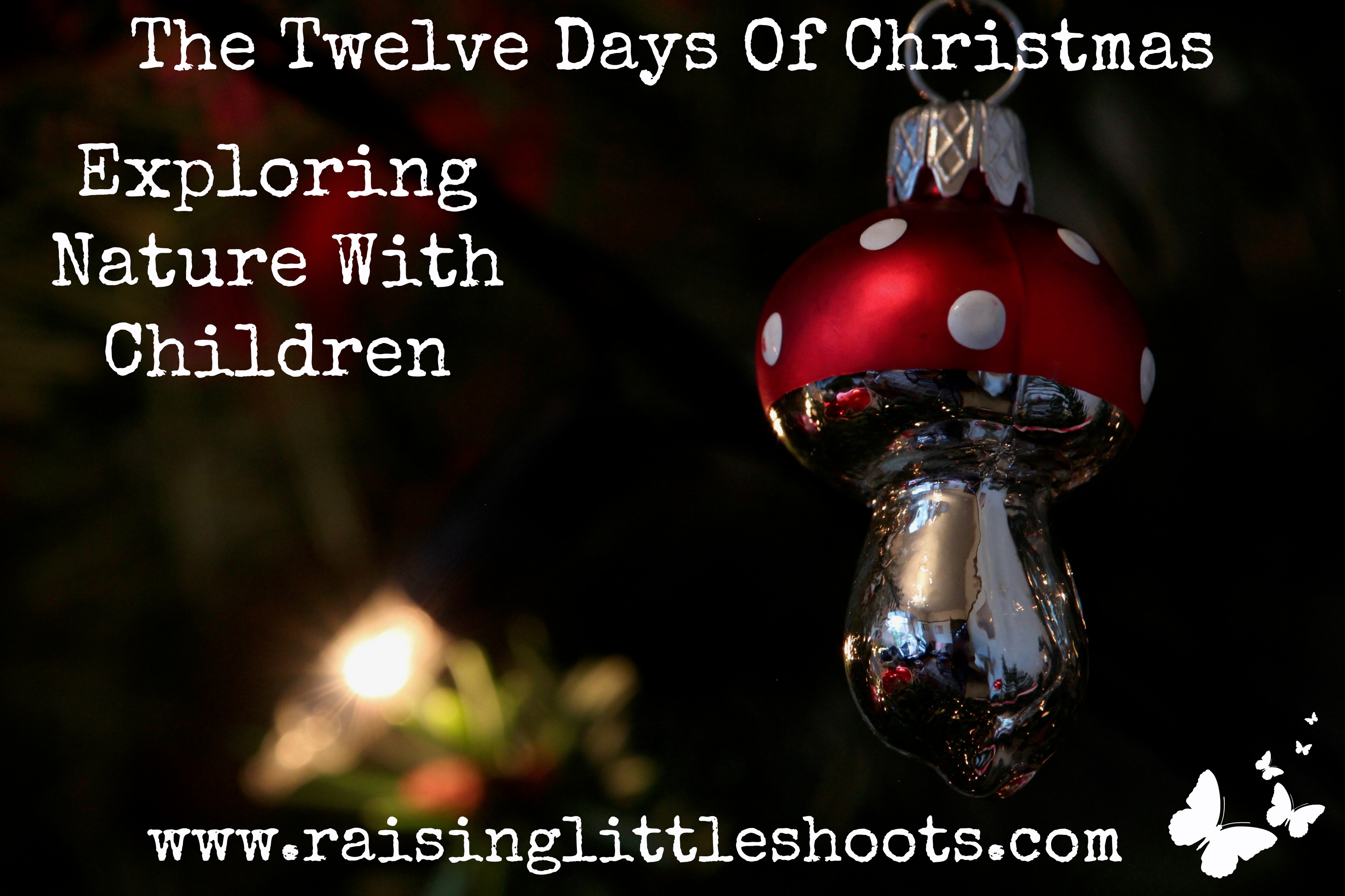 The 12 Days of Christmas: Exploring Nature With Children