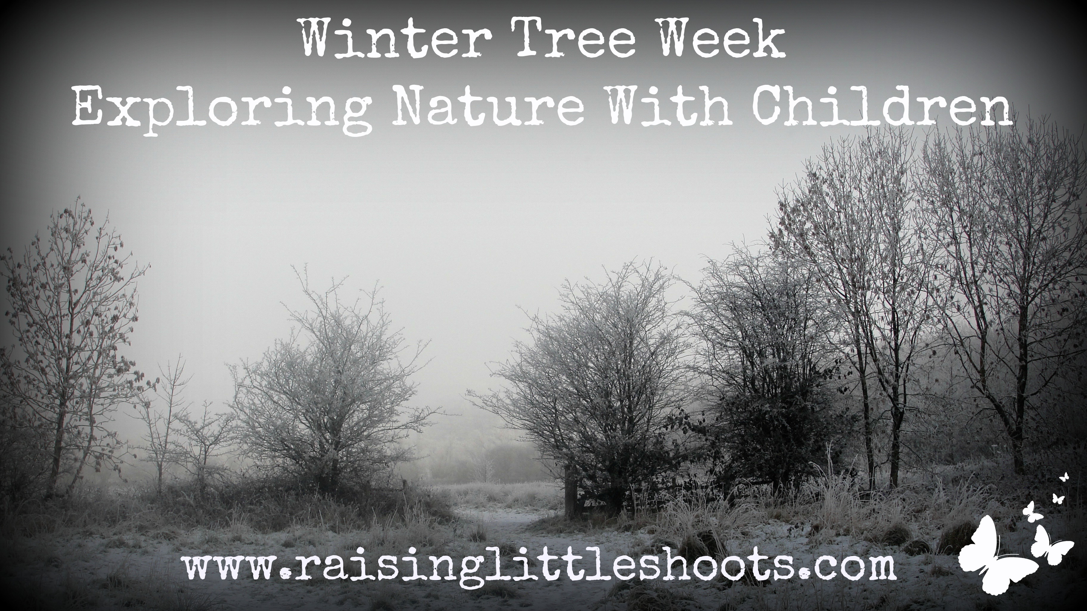 Winter Tree Study: Exploring Nature With Children