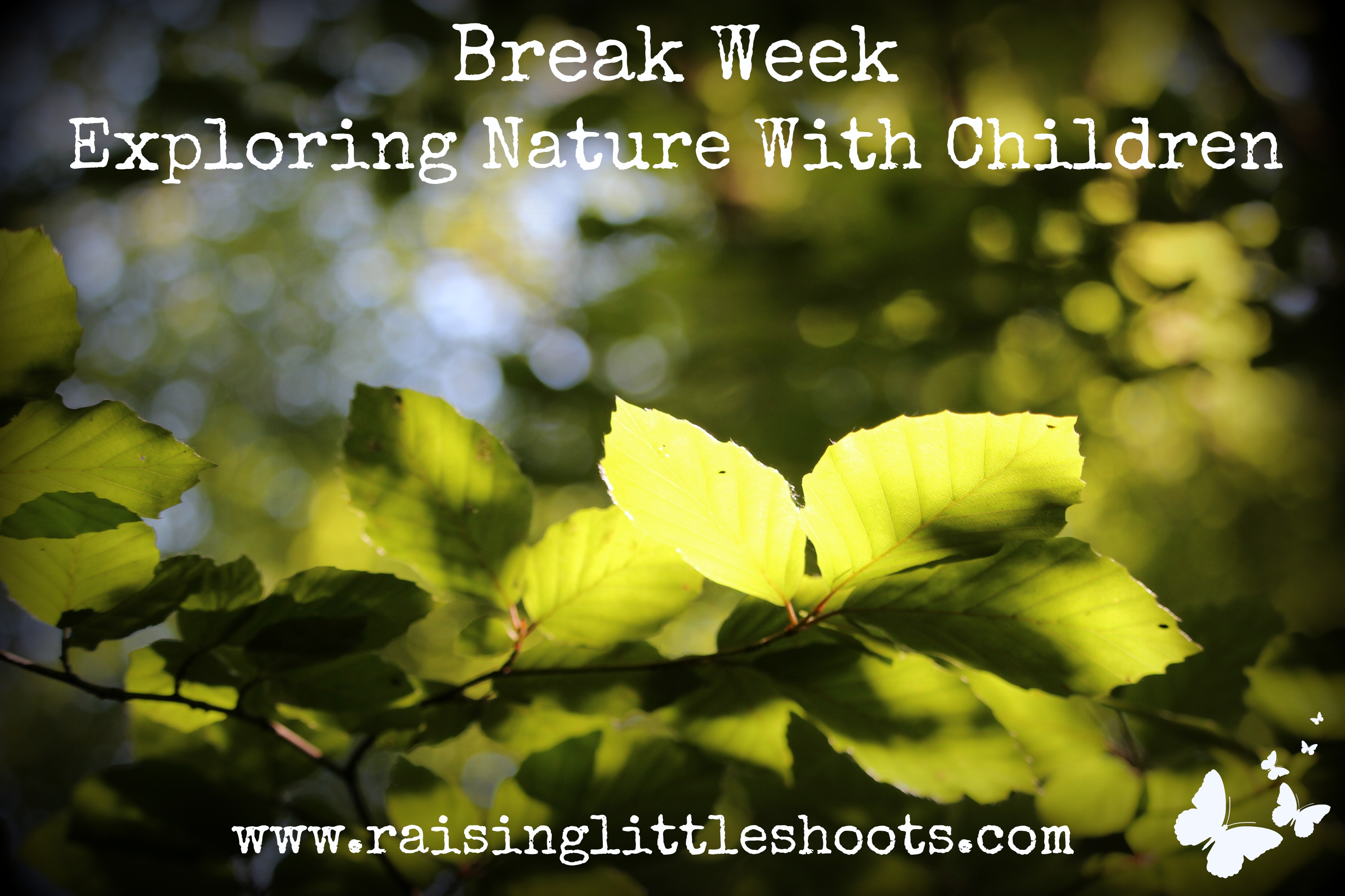 Break Week : Exploring Nature With Children