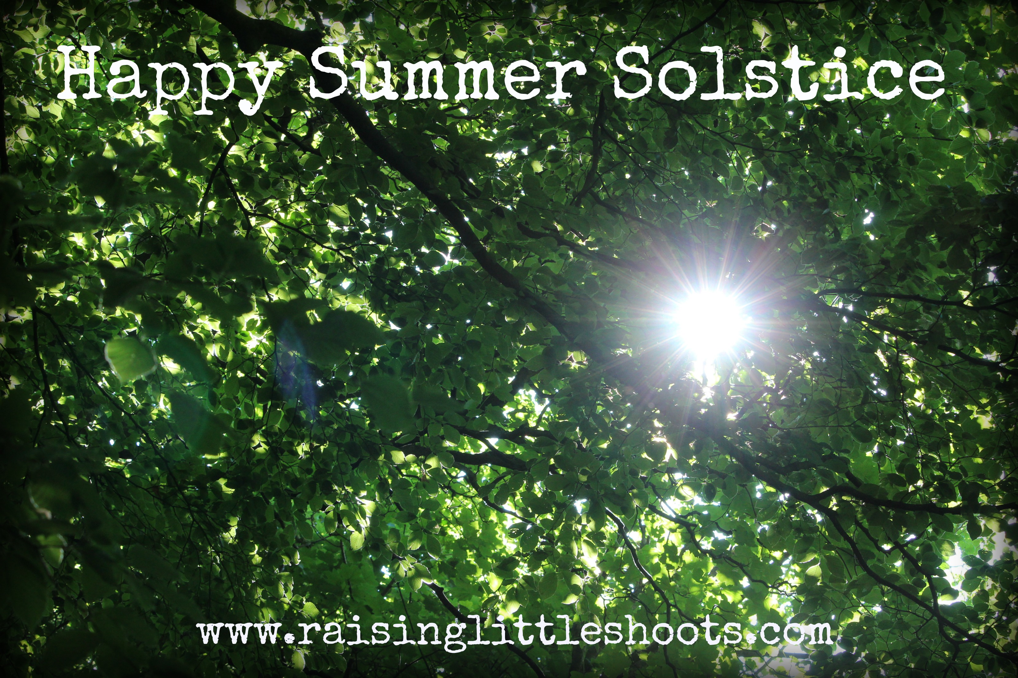 Blessed Summer Solstice