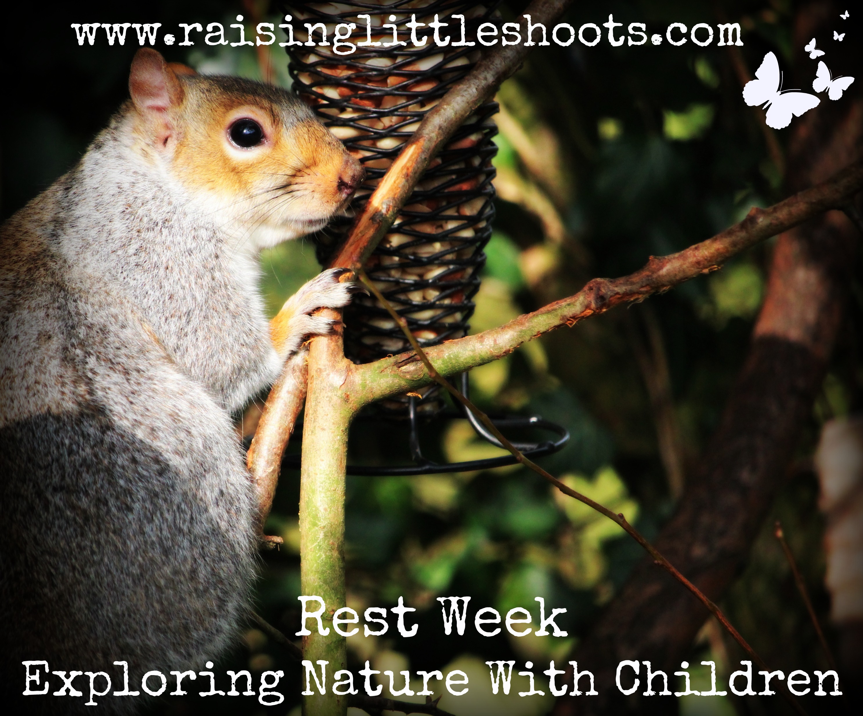 Rest Week: Exploring Nature With Children