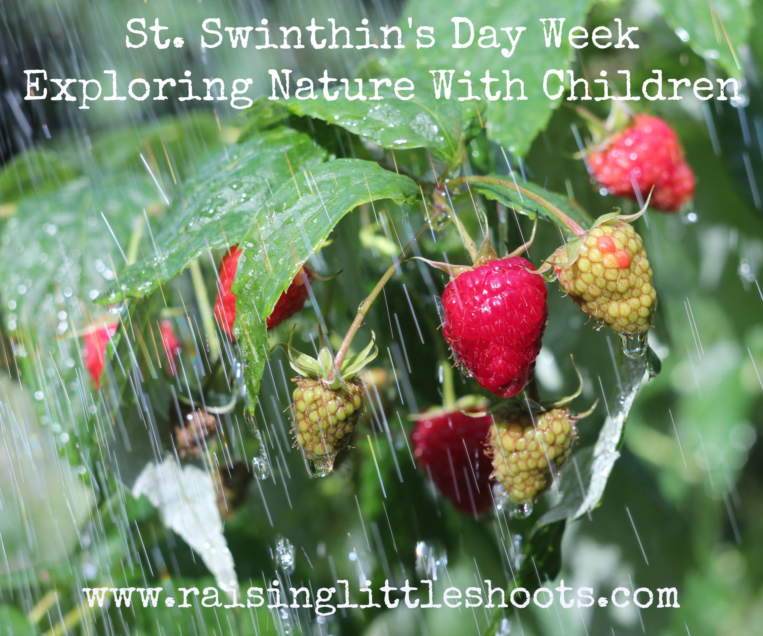 Exploring Nature with Children | Weather ~ St. Swithin’s Day Week