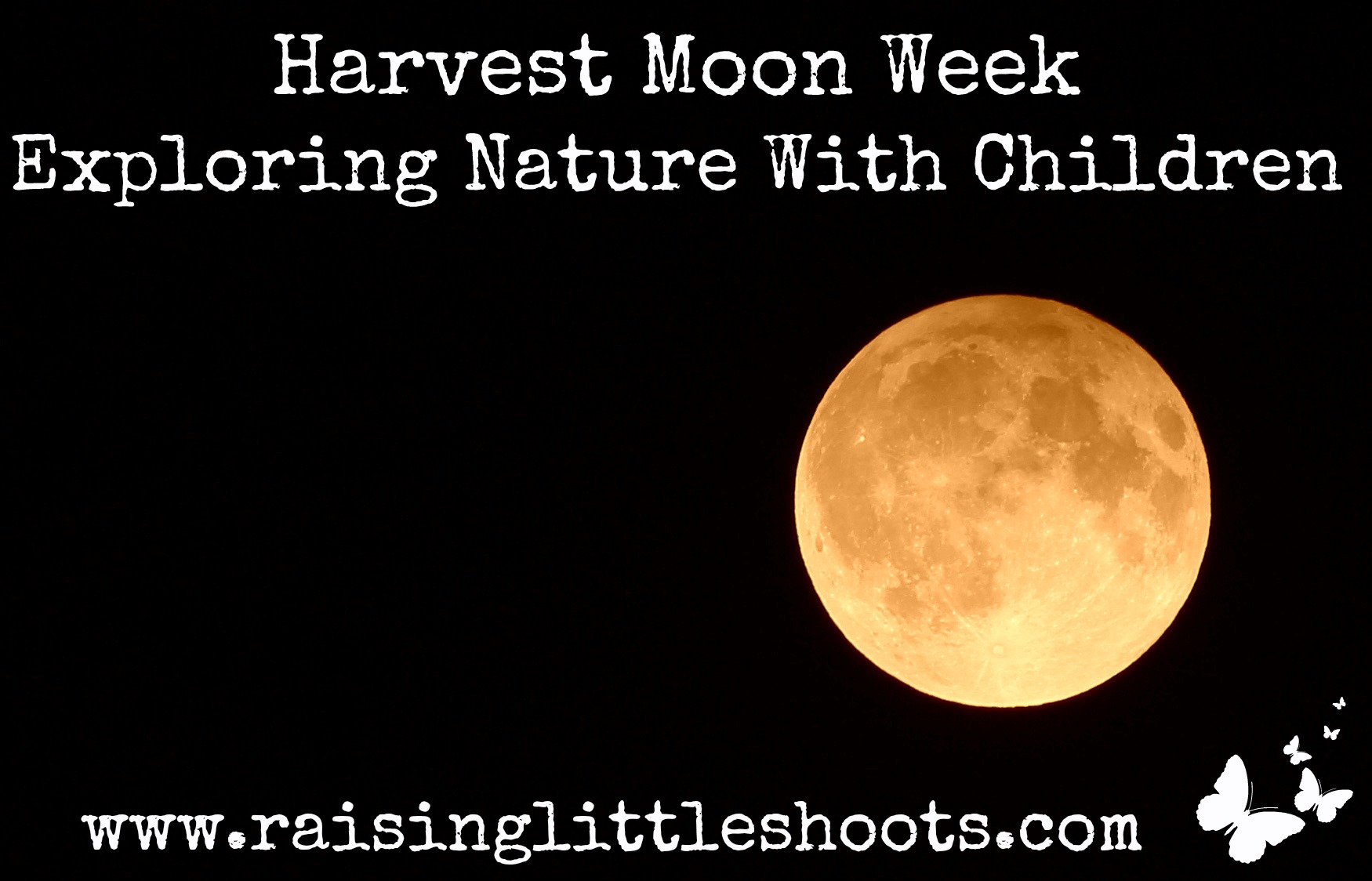 HARVEST MOON WEEK | EXPLORING NATURE WITH CHILDREN
