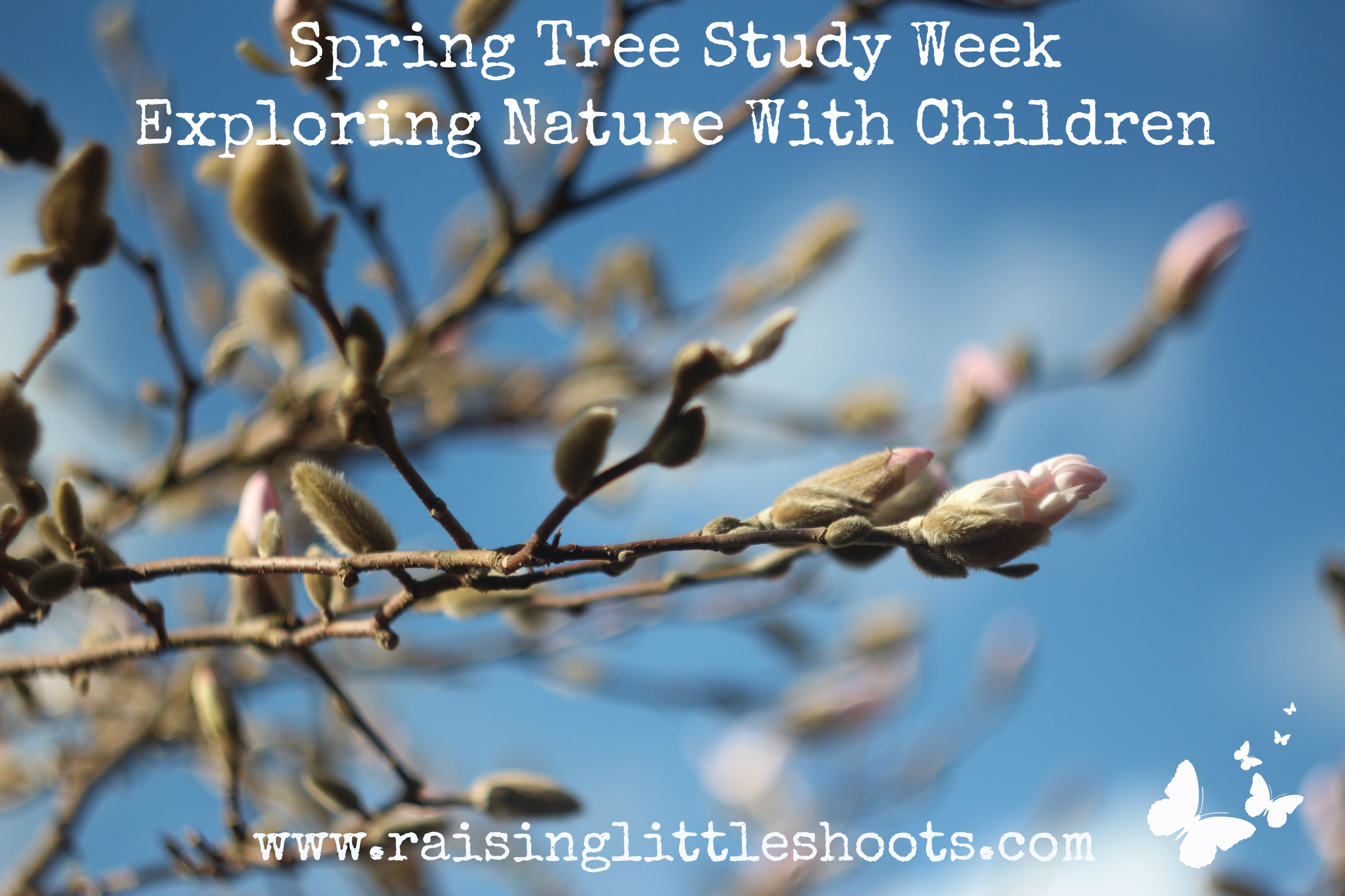 SPRING TREE STUDY WEEK | EXPLORING NATURE WITH CHILDREN