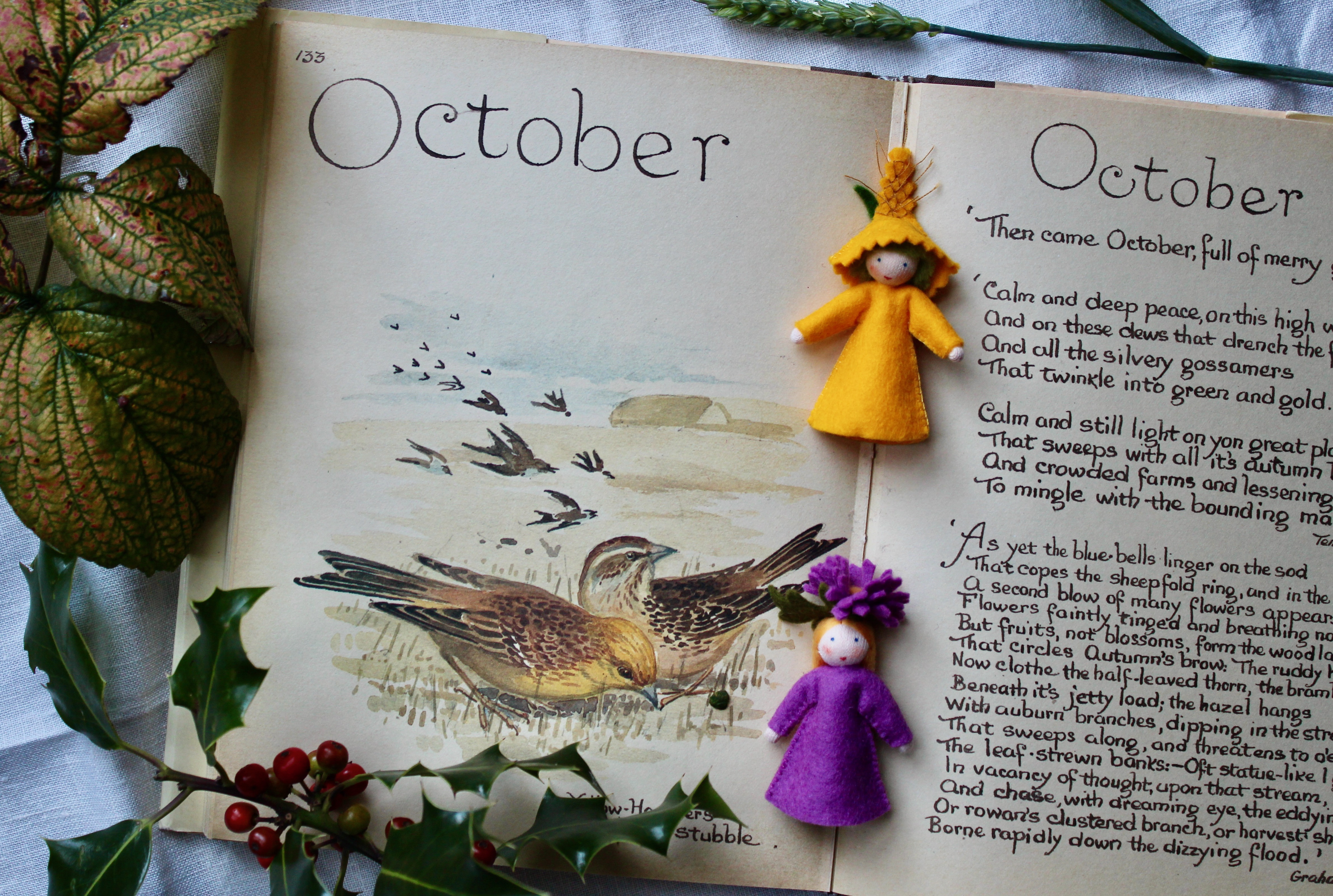 OCTOBER NATURE NOTE