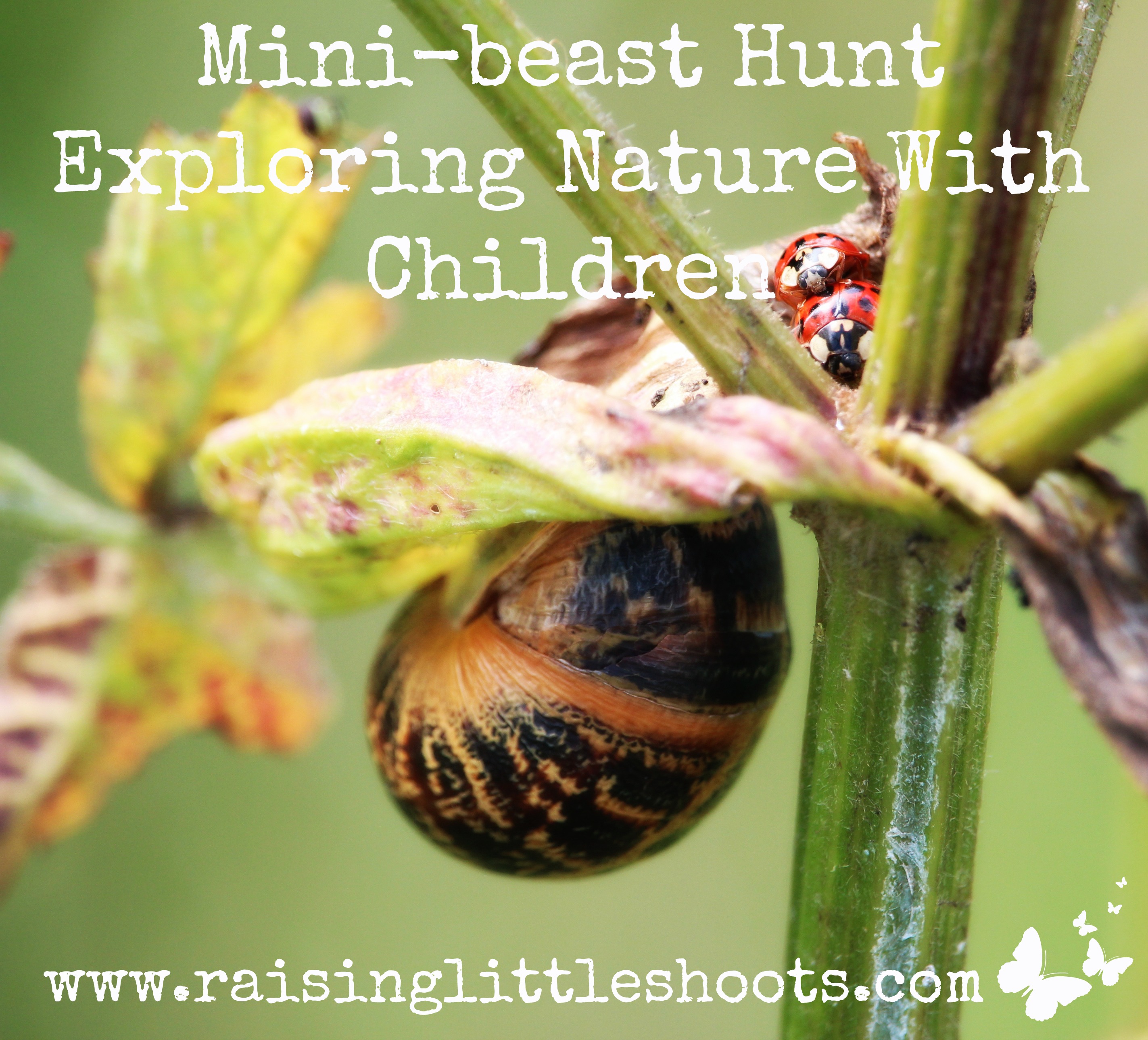 MINI-BEAST WEEK | EXPLORING NATURE WITH CHILDREN