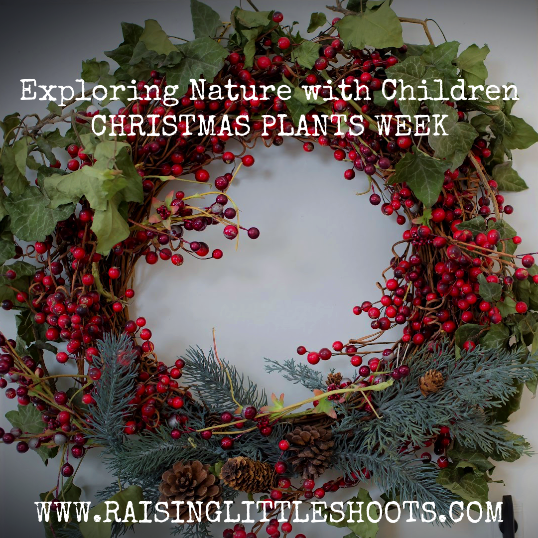 CHRISTMAS PLANTS WEEK | EXPLORING NATURE WITH CHILDREN