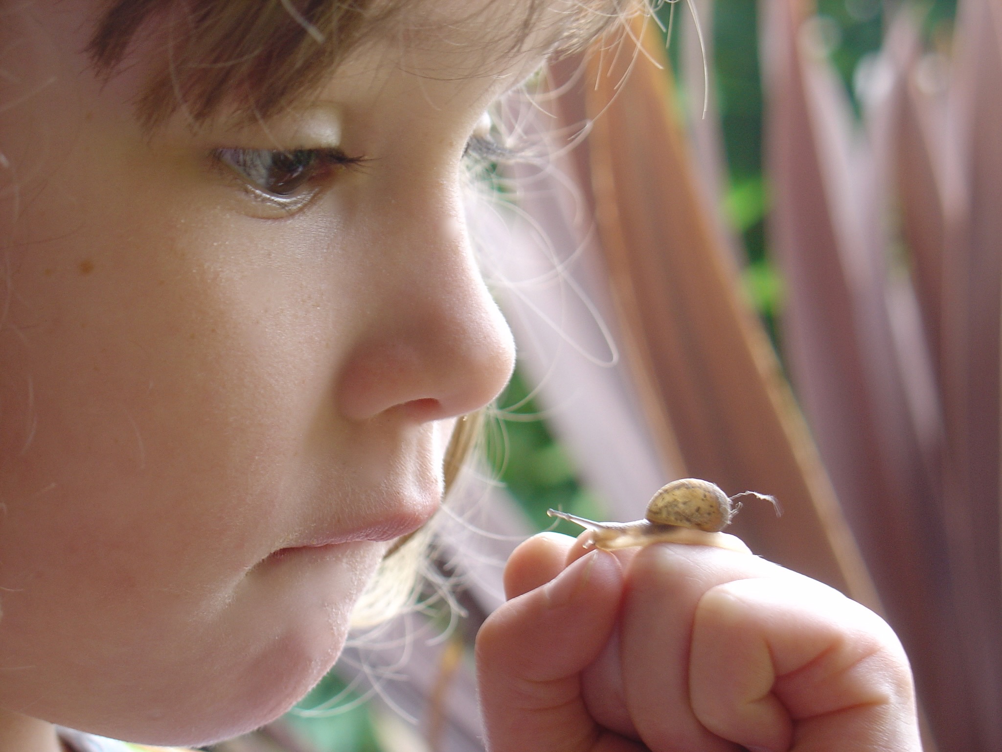 Cultivating the Habit of Nature Study: Why 21 Days Can Make All the ...