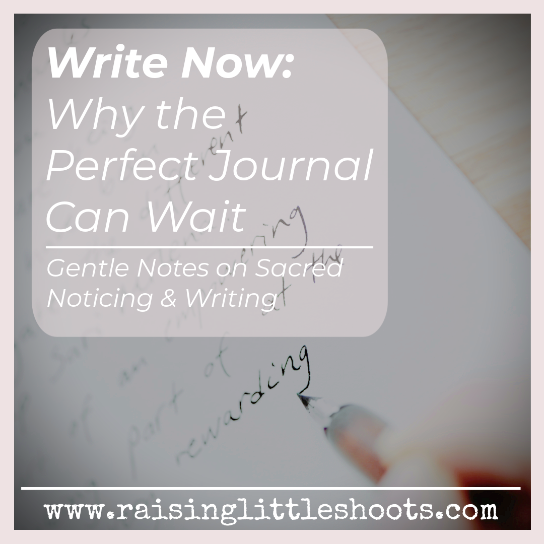 Write Now: Why the Perfect Journal Can Wait