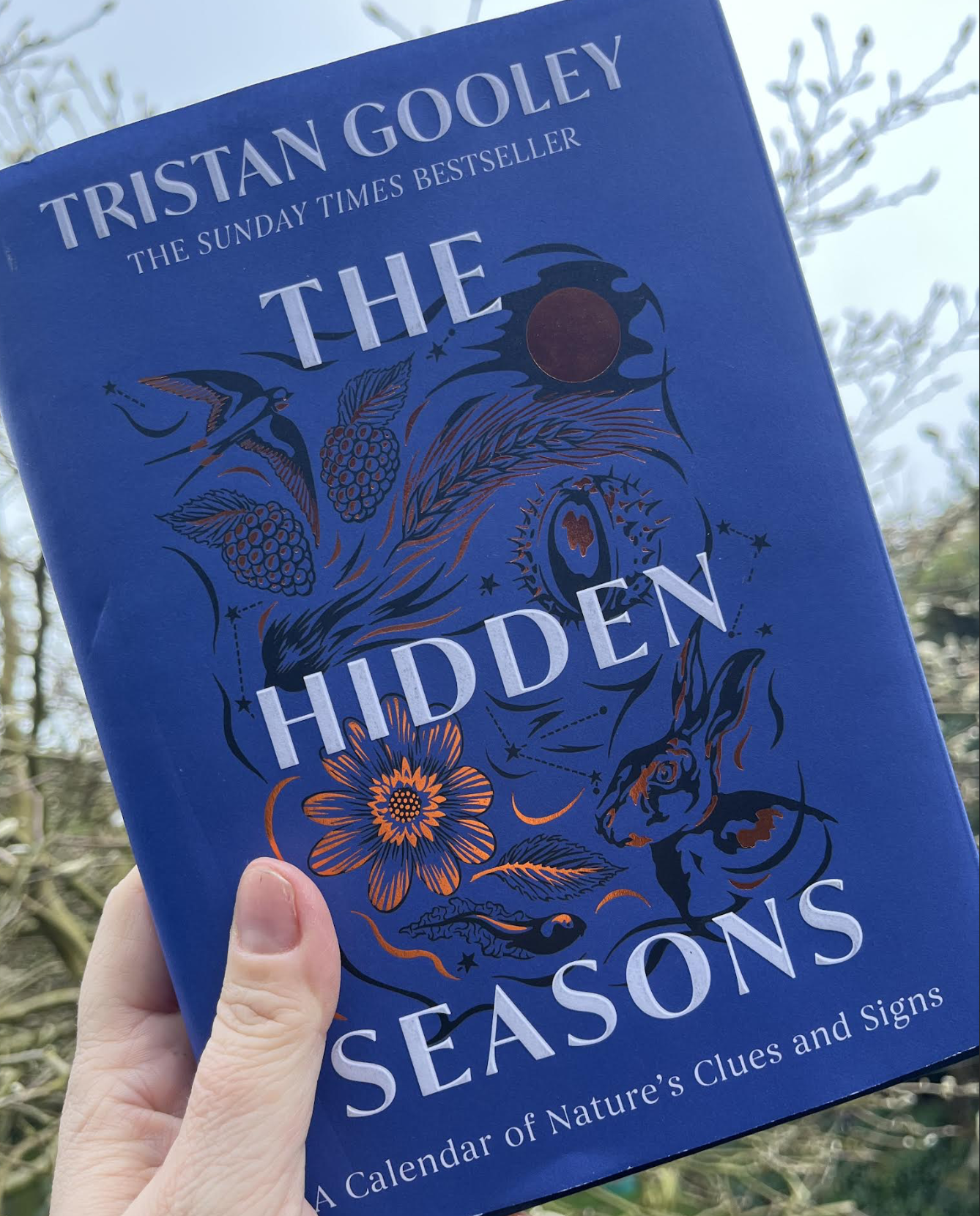 The Hidden Seasons : A Read Along