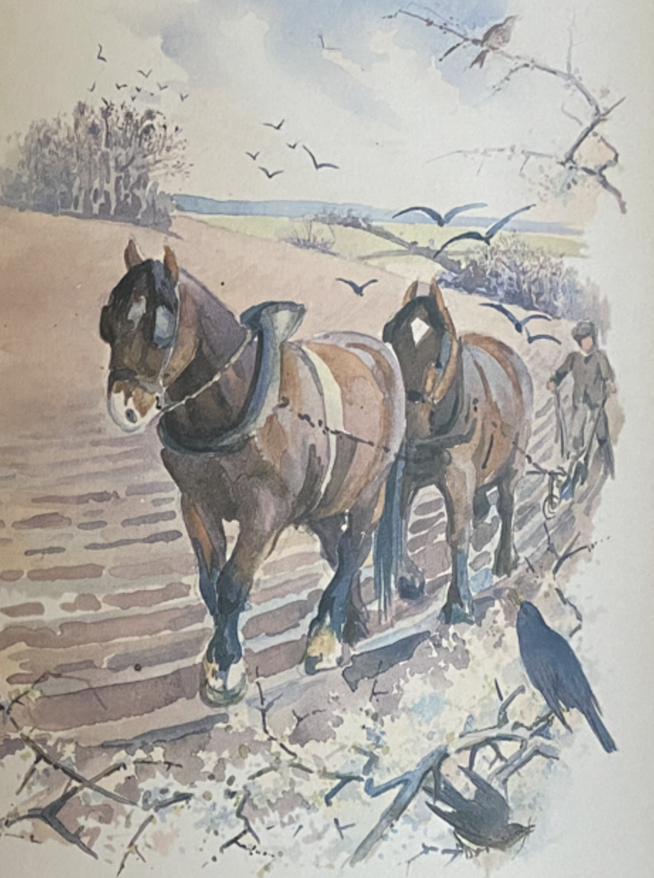 Plough Monday : the Quiet Turning of the Year