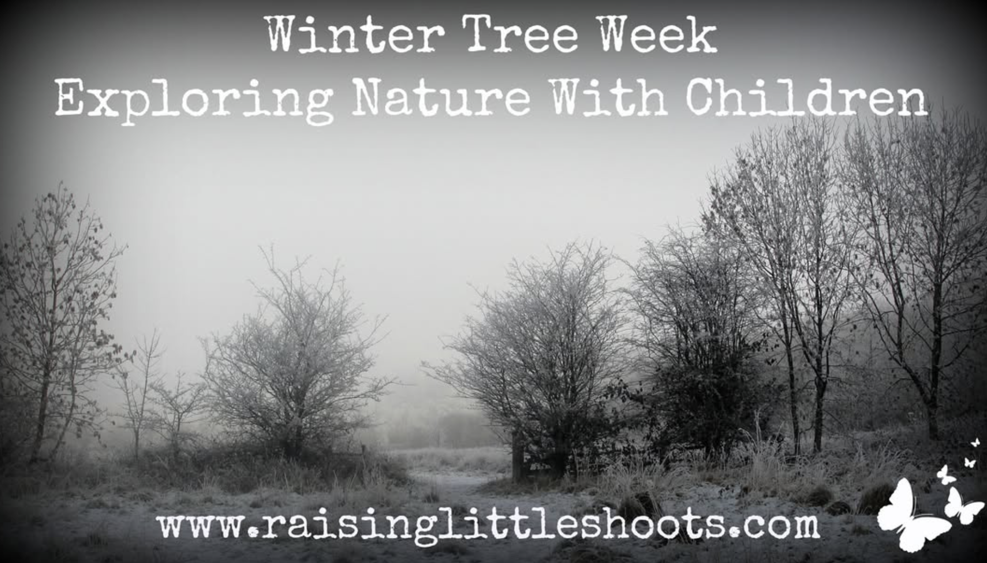 WINTER TREE STUDY WEEK | EXPLORING NATURE WITH CHILDREN