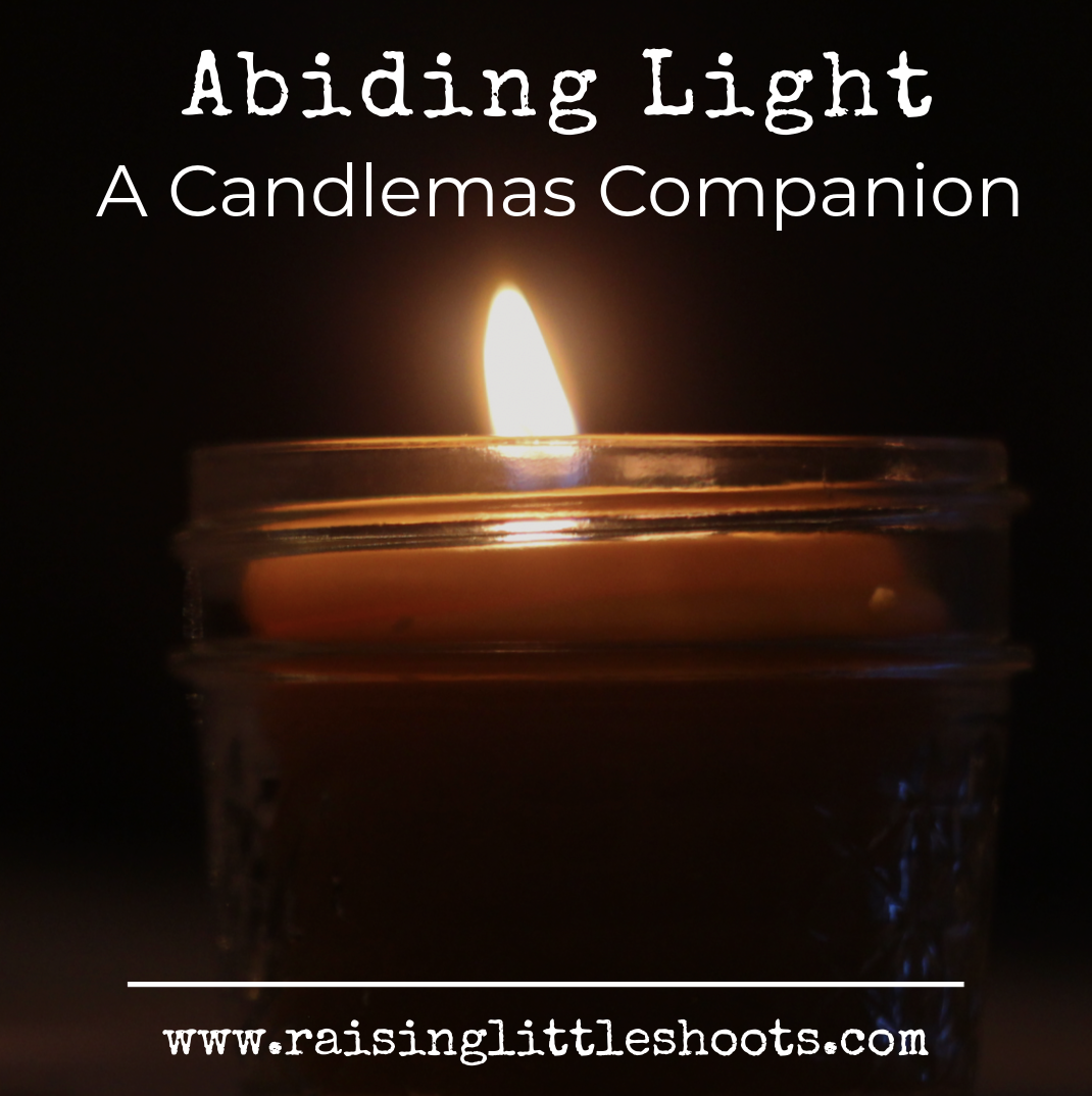 Candlemas: Learning to Recognise the Light That Already Abides