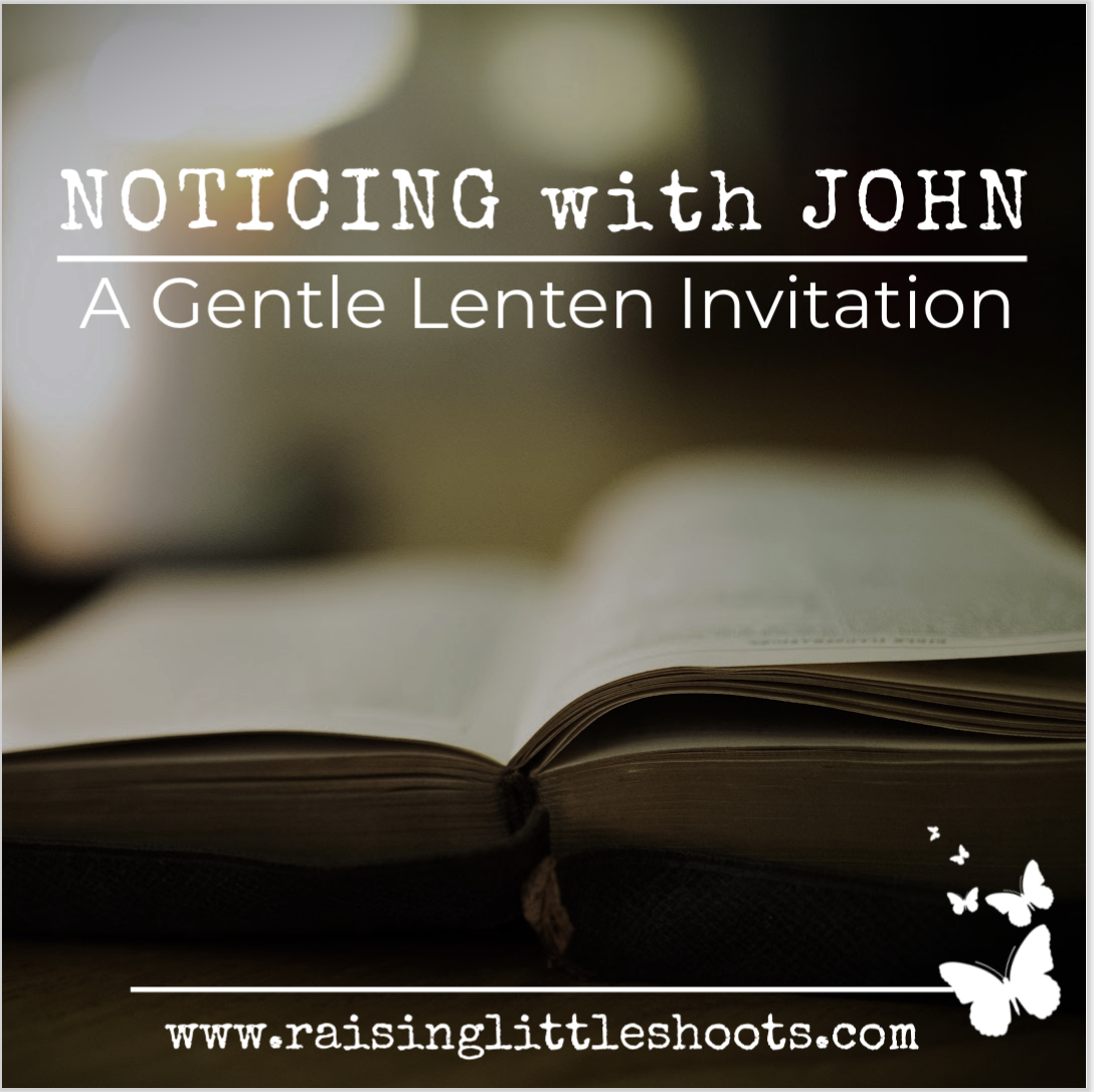 Noticing with John: A Gentle Lenten Invitation
